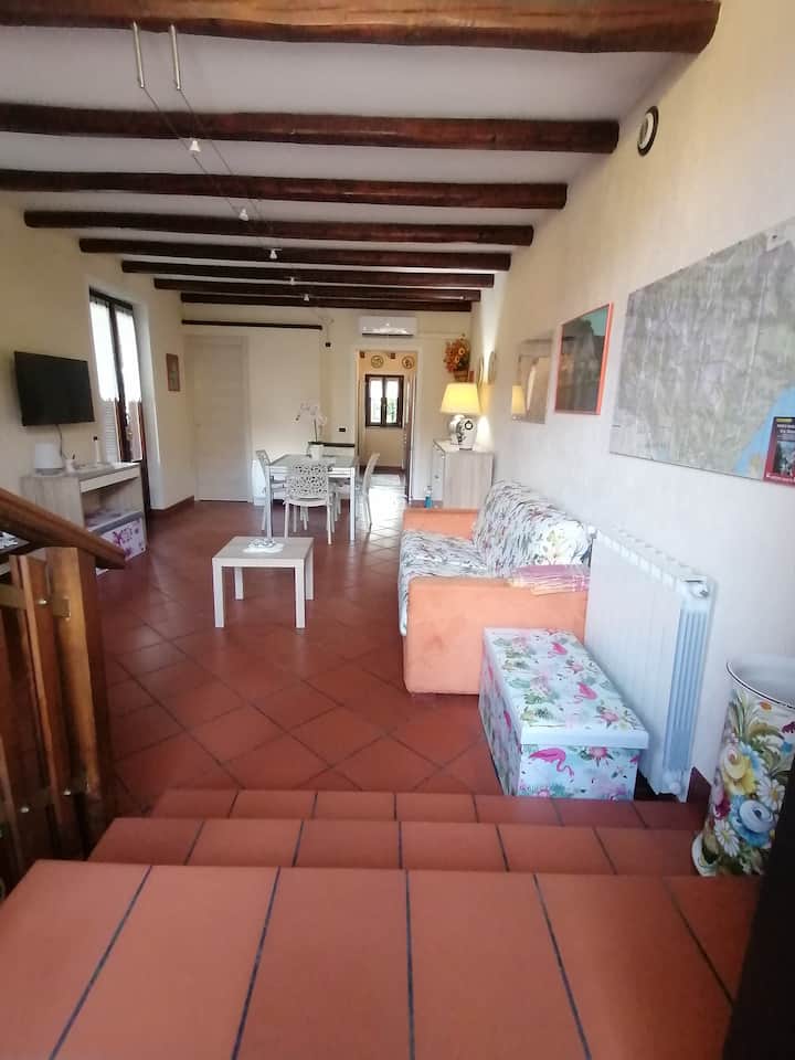 Villa Avec Jardin Parking Animaux Acceptés - Verbania