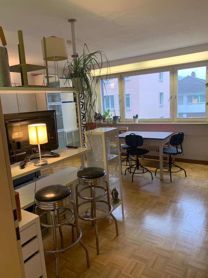 2 Zimmer Appartement Innenstadt - Merzhausen