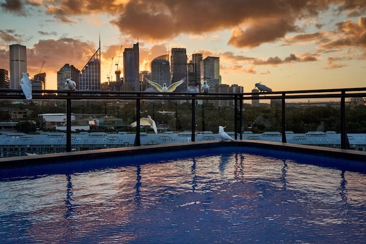 Gemini — Potts Point - North Sydney