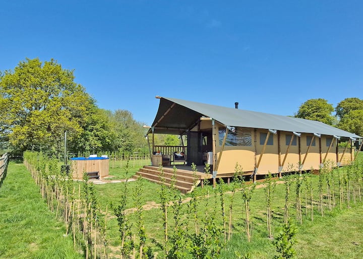 Ubuntu - Alton, UK