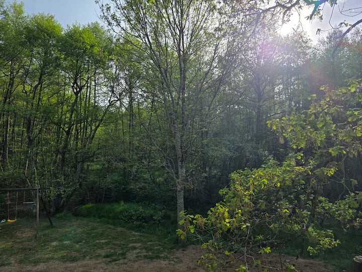 Profiter D'un Bain Nordique Au Bord De L'étang - France