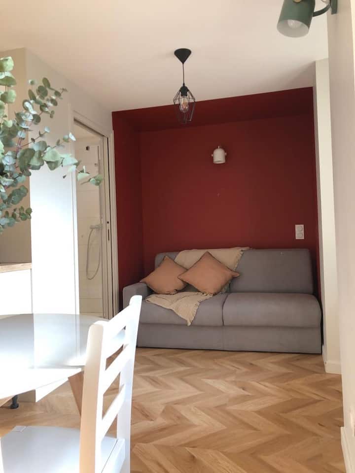 Charmant Studio  17 M² Entièrement Refait à Neuf - Aix-les-Bains