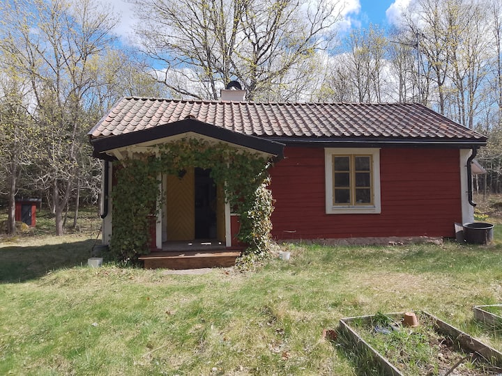 Litet Torp I Skogen - Kisa