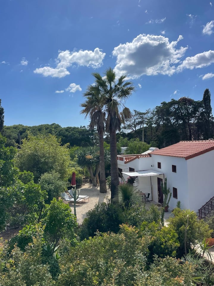 Maison De Plage & Jardin Botanique 600m De La Mer - Albufeira
