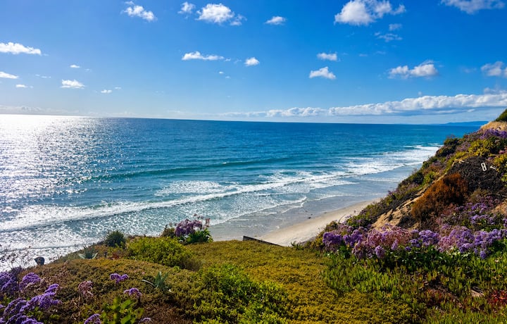 On Oceanfront Bluff! Walk To Beach In Encinitas! - Encinitas, CA