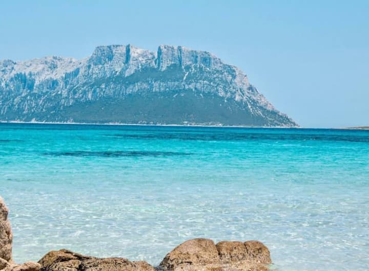 San Teodoro Paradiso Terrestre, Sea La Vie - San Teodoro