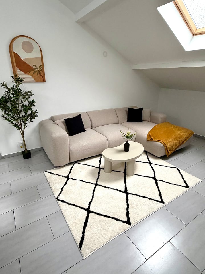 ÉLégant Duplex Cosy Avec Cour Privatif - Seyssel