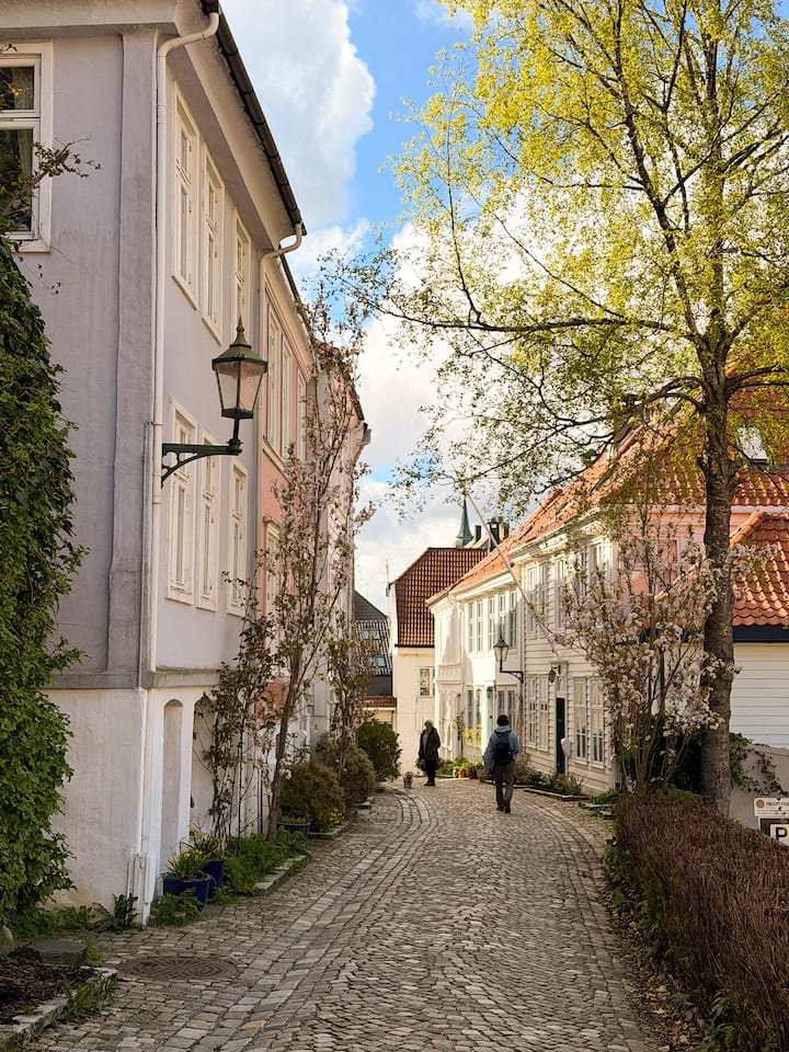 Charming Apartment In Bergen Downtown - Bergen, Noruega