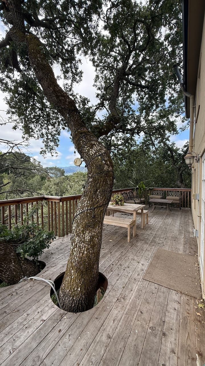Nature Escape - Woodside, CA