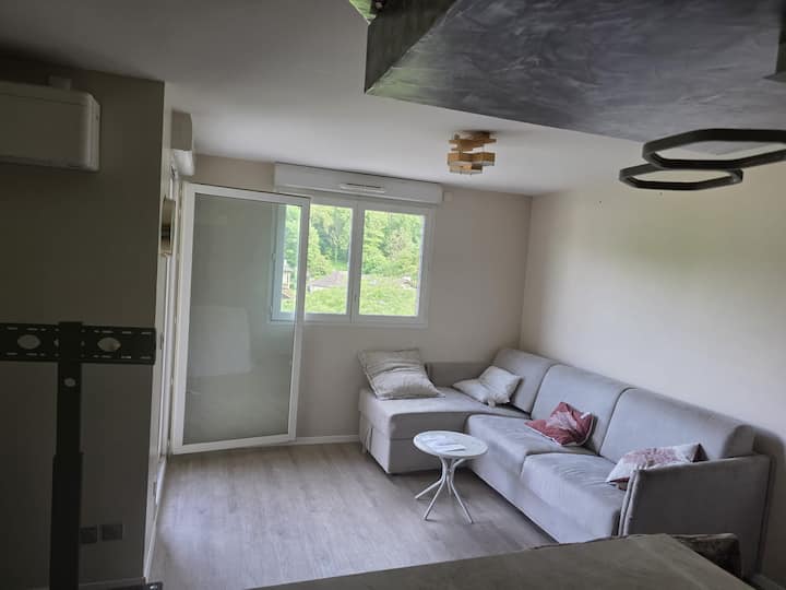 Super Duplex Familial à 12 Min De Genève Centre - Gaillard