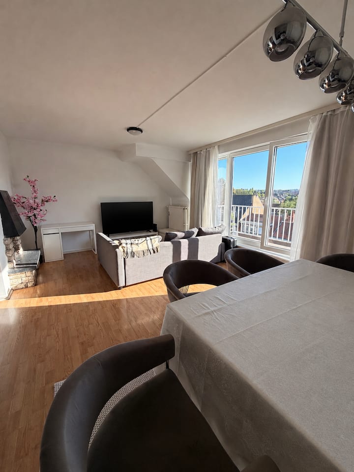 Beautiful Penthouse With Big Terraces In Brussels - 布魯塞爾