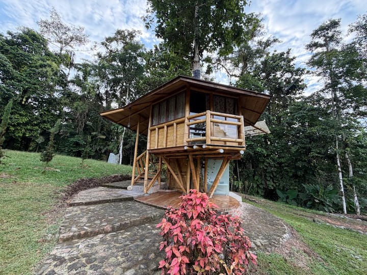 Casa Del ÁRbol Privada •  En La Naturaleza - Pedro Vicente Maldonado