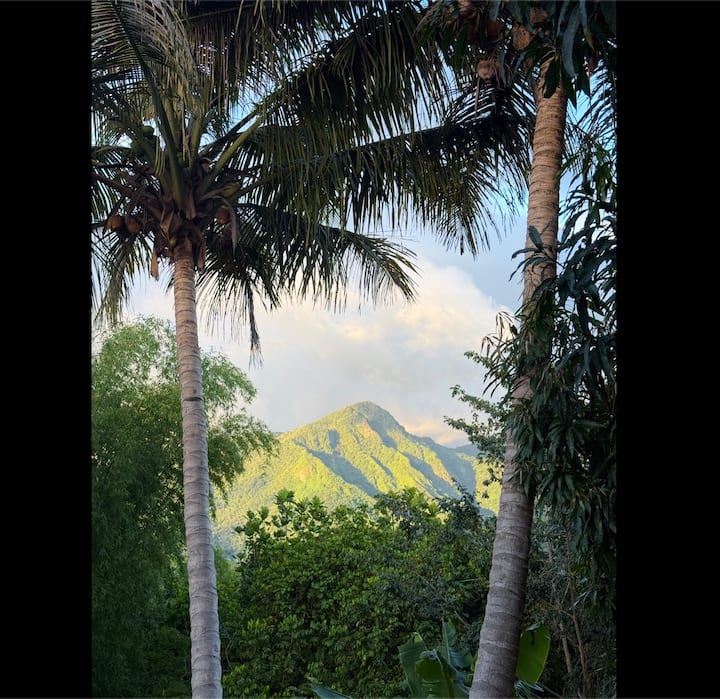 Finca Verde Amanecer - Apartamento 2 - Utuado