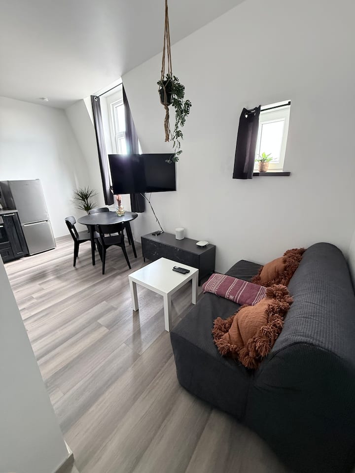 Petit Cocon Douillet En Plein Cœur De Liège. - Herstal