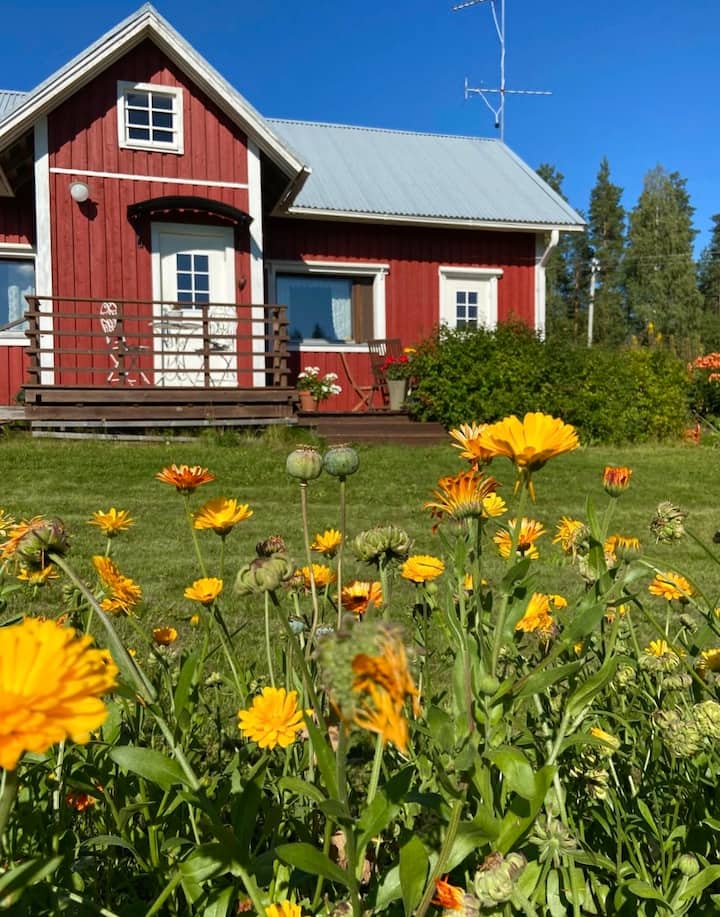 Cozy Lakeside Retreat - Saarijärvi