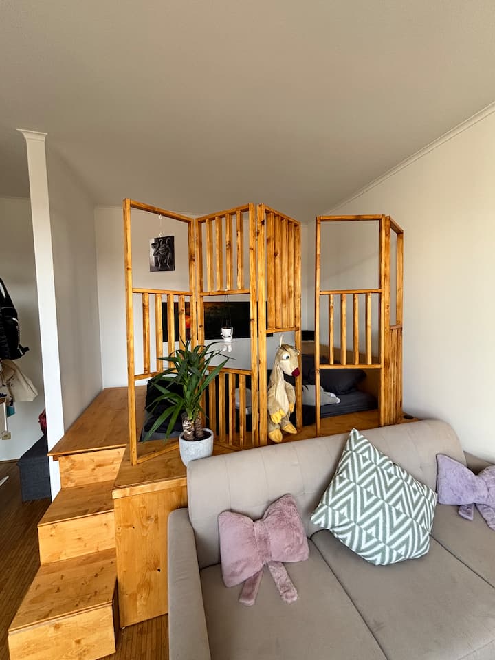 Little Cozy Loft By The Mur - Graz