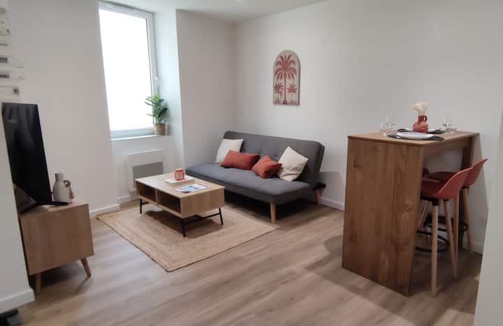 Charmant Appartement à Bourg Les Valence - Bourg-lès-Valence