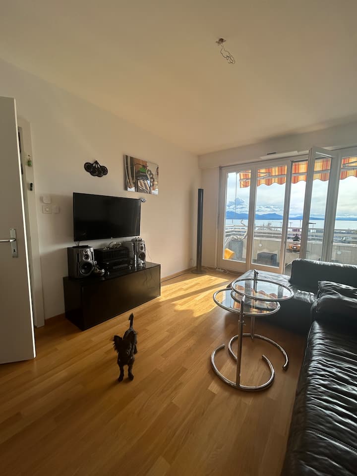 Appartement Zen Avec Superbe Vue. - Renens