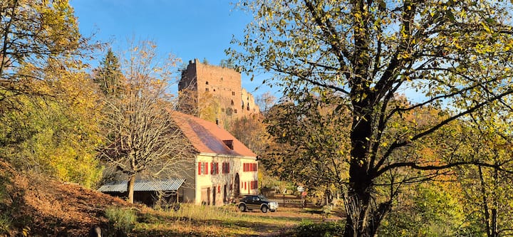 Gite Au Cœur De La Forêt, Au Pied Des Châteaux - Ottrott