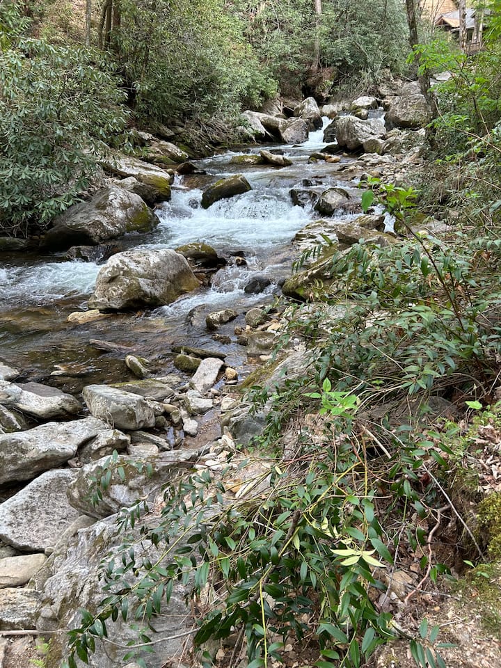Buckcreek Cabin - Highlands, NC