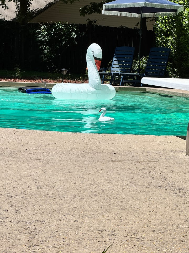 5 Kings *2 Qpullouts*5br*4bath*firepit*pool*hottub - Knoxville, TN