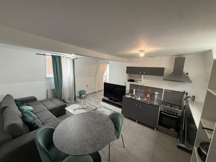 Appartement Chill - Roubaix
