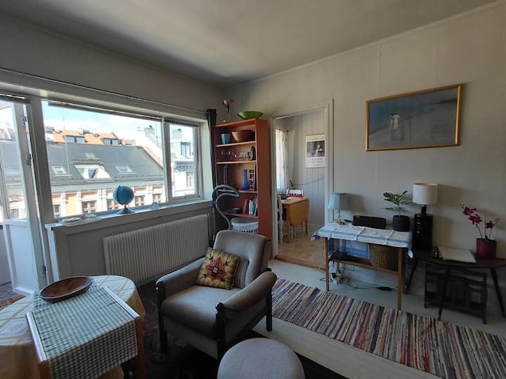 Sentral Leilighet Ved Alexander Kiellandsplass - Oslo