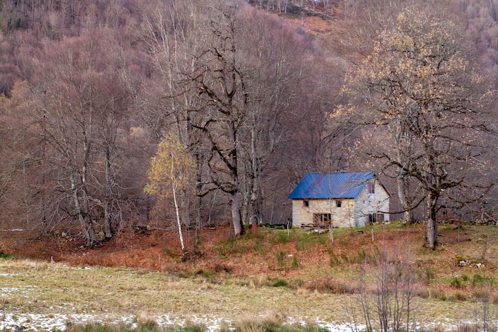 Chambre Dans Cabane De Berger, Gite & Table D'hôte - Aulus-les-Bains