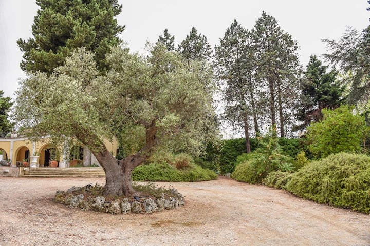 Villa Luciana - Locorotondo