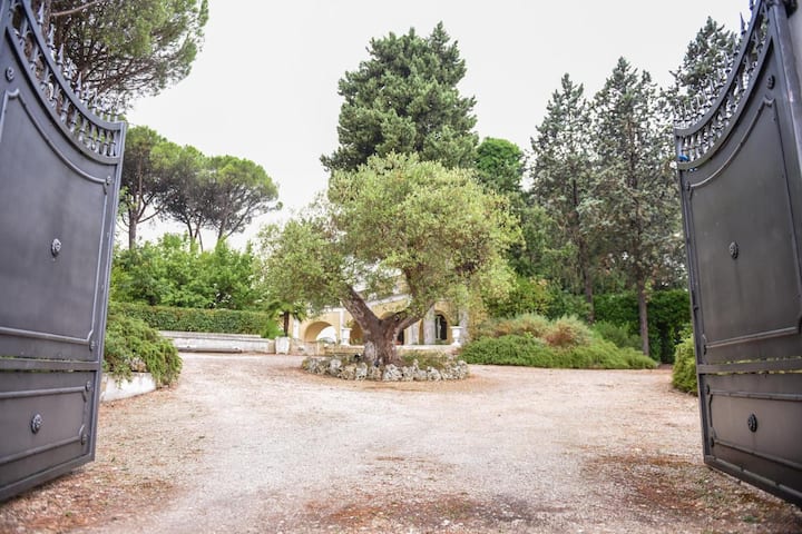 Villa Luciana - Alberobello