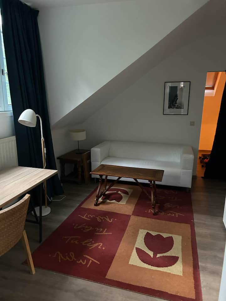 Studio Vauban : (Chambre + Salon + Sdb) - Namur