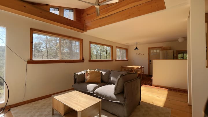 Ten Mile River House - Narrowsburg Retreat - Narrowsburg, NY