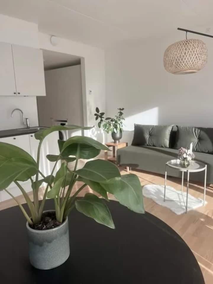 Lys Og Velindrettet Bolig Med Privat Terrasse - Odense