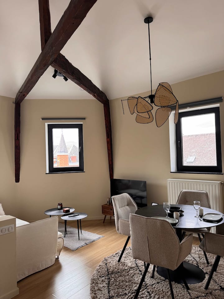 Au Pied Du Mur - Appartement Atypique - Huy