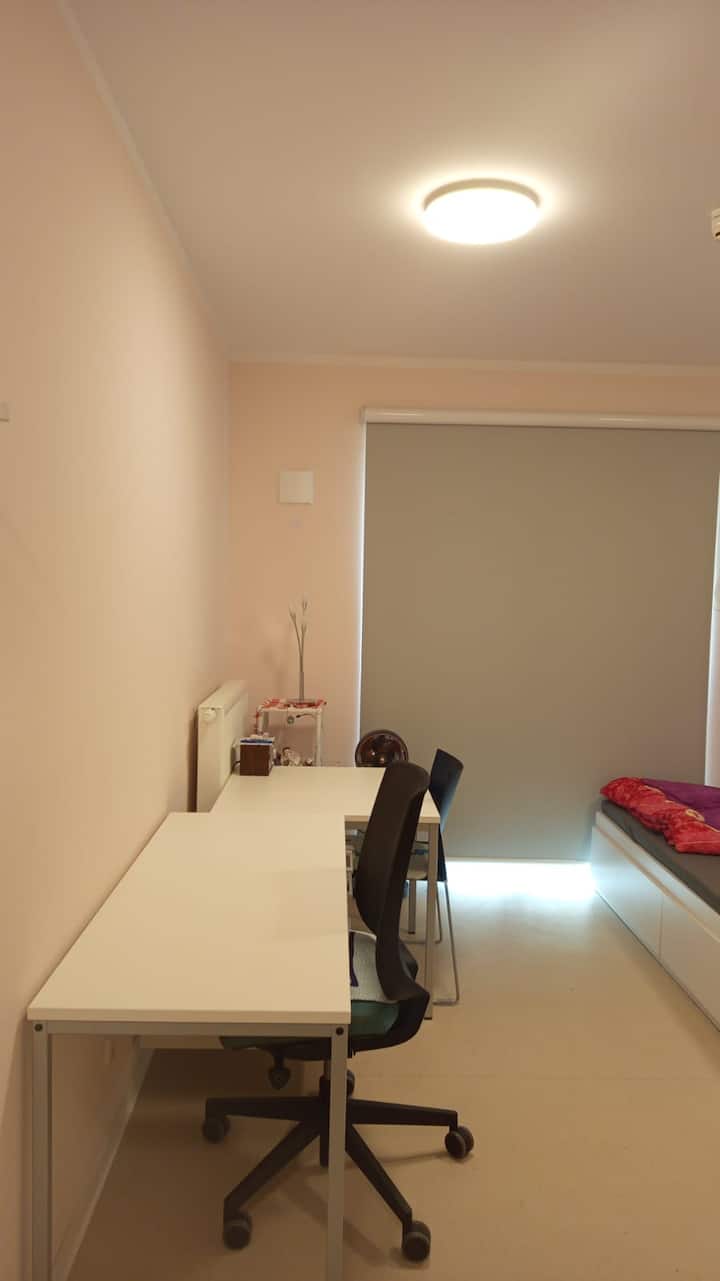 Ruhiges 1-raum-appartement Mit Küchenzeile - Leipzig