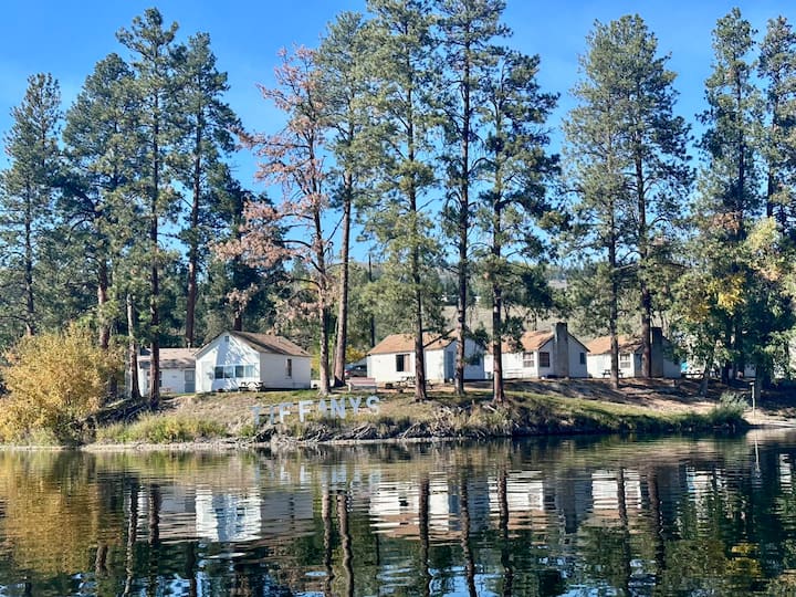 Spacious 1br Waterfront Cabin W/ A/c & Great Views - Curlew Lake State Park, Republic
