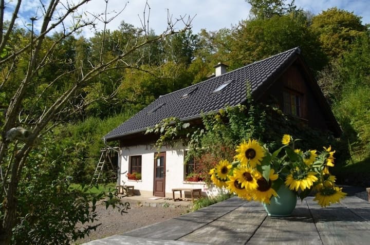 Ferienhaus (313043) - Bad Honnef