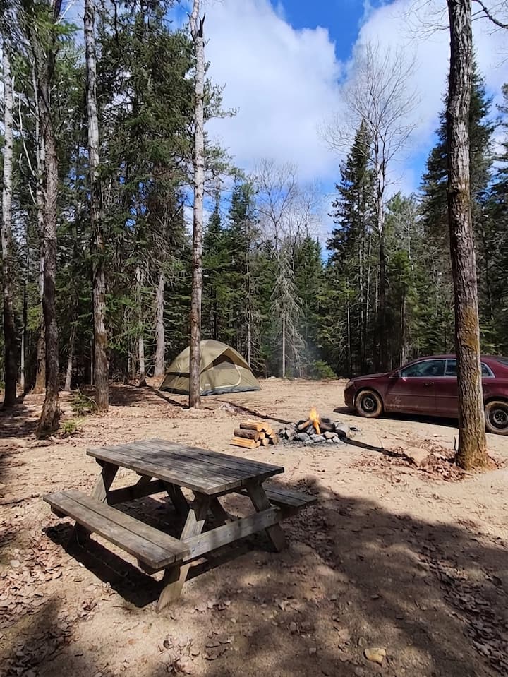 Campsite 7 - Owl Landing - Ontario 60