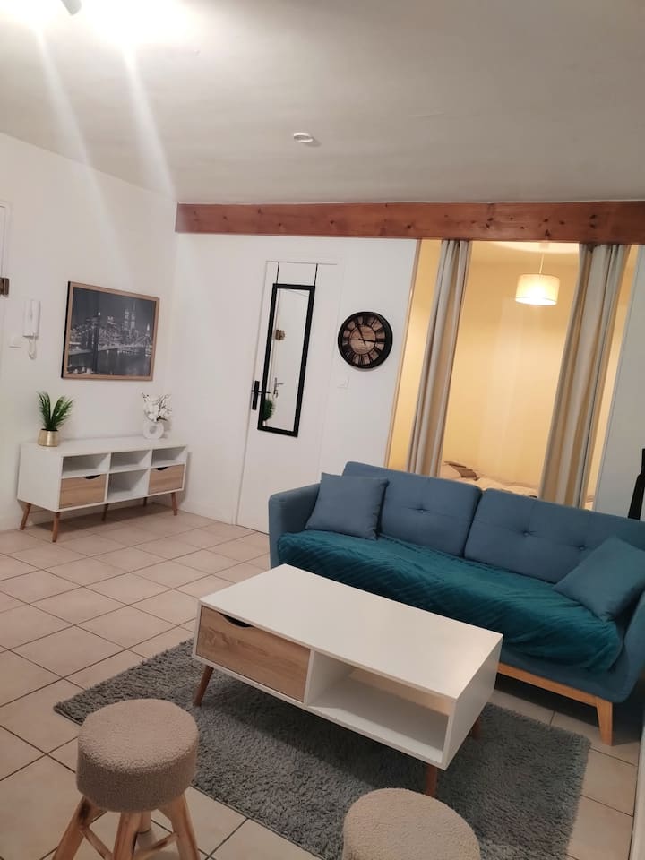 Charmant Appartement Avec Terrasse Privative - Angers