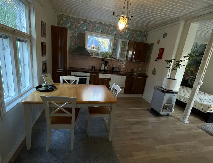 Viihtyisä Kodikas  Pikkutalo Kaupungissa - Riihimäki