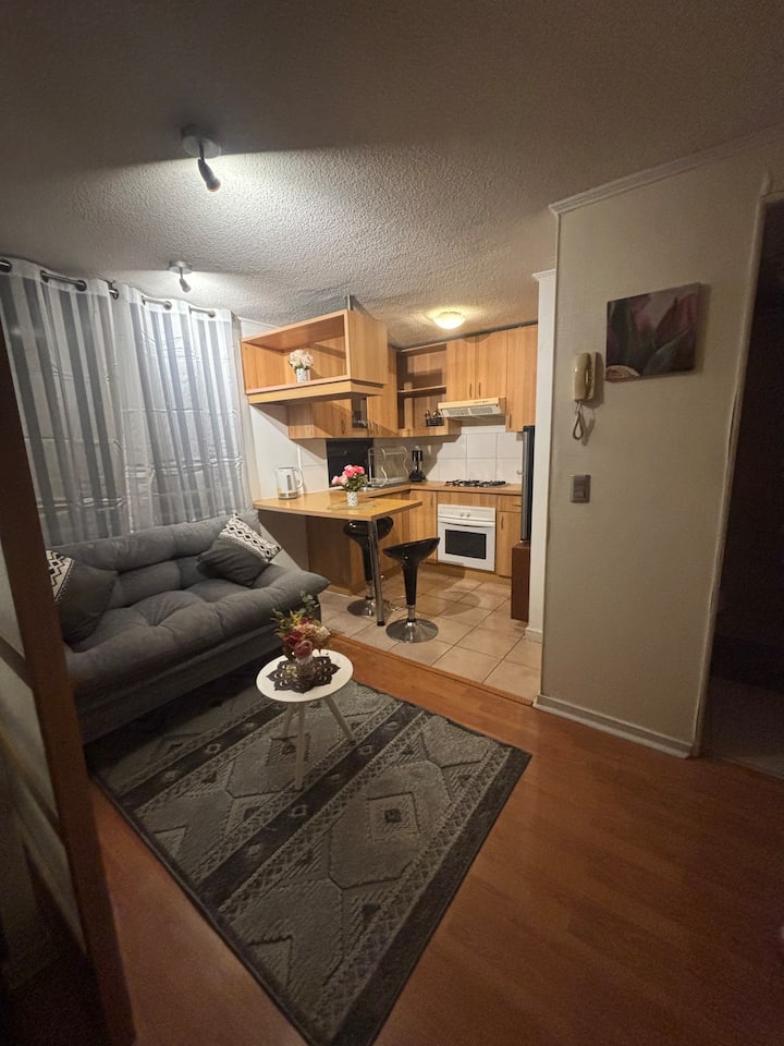 Céntrico, Acogedor Y Muy Cómodo Departamento - Santiago, Chile