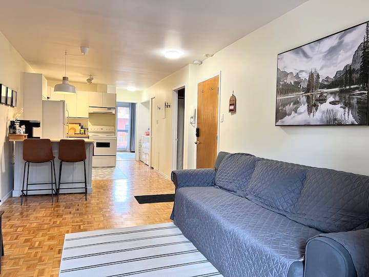 Entire 1 Bedroom Apartment - Montréal, QC