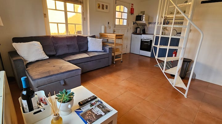 Studio With Terrace - Arganil