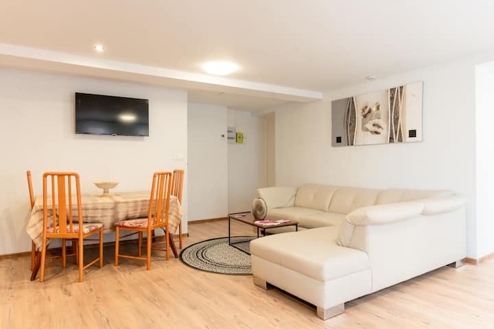 Bel Appartement Rénové Au Cœur De Langres - Langres