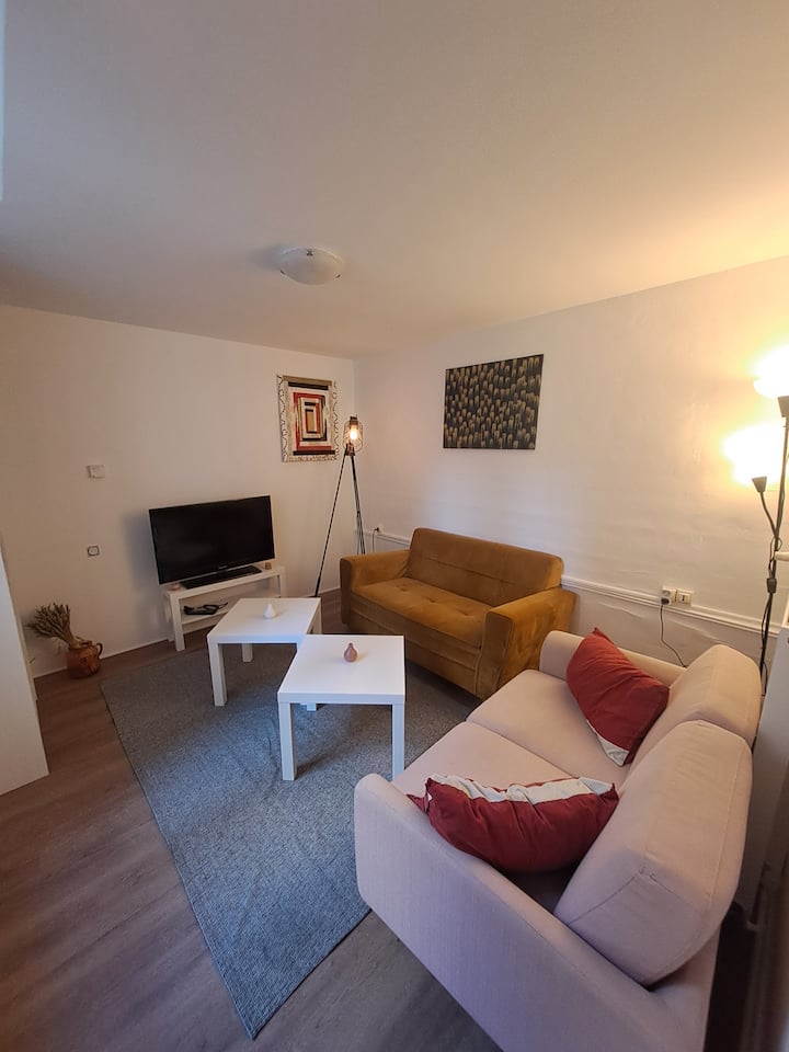 Gîte 3 Chambres Avec Terrasse Hypercentre Troyes - Troyes
