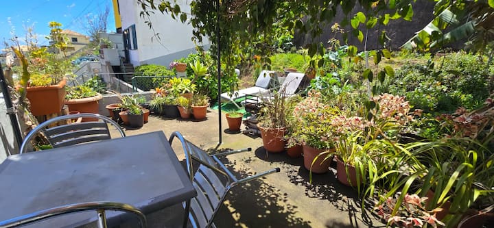 Botanical Dimensions Wifi Terrace Nature And Hikes - Ribeira Brava