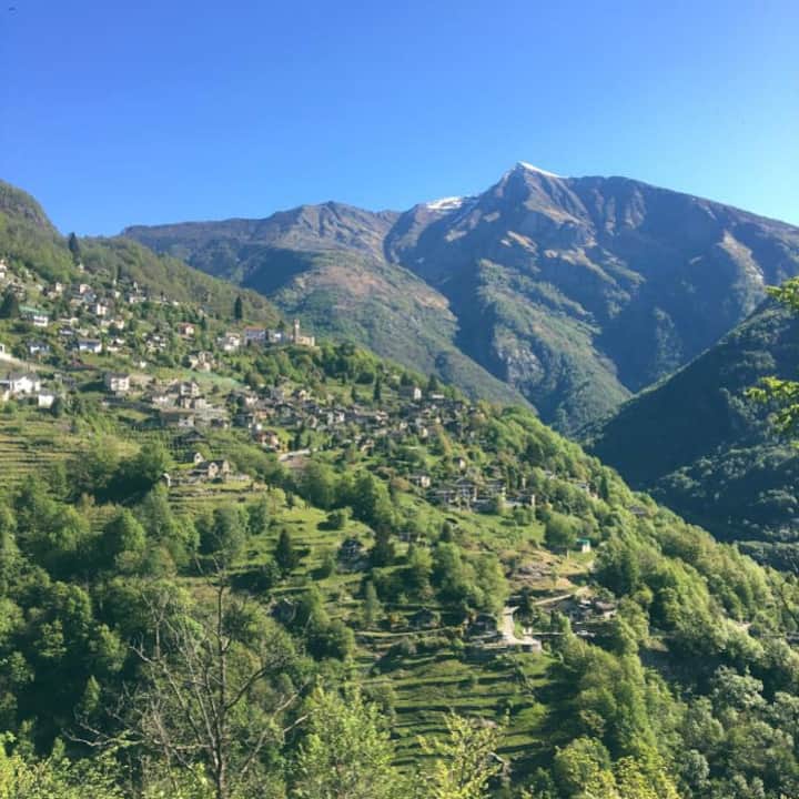 Cà Armonia 4 Panoramic Verzasca Family&friends Apt - Locarno