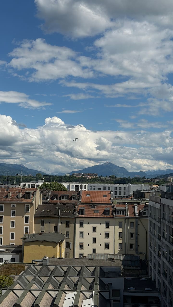 Cornavin Studio-5 Min To Lake - Ferney-Voltaire