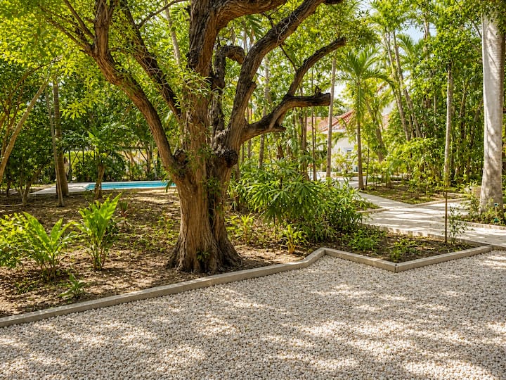 Boutique Garden Stay | 3 Private Units For 68 - Curaçao