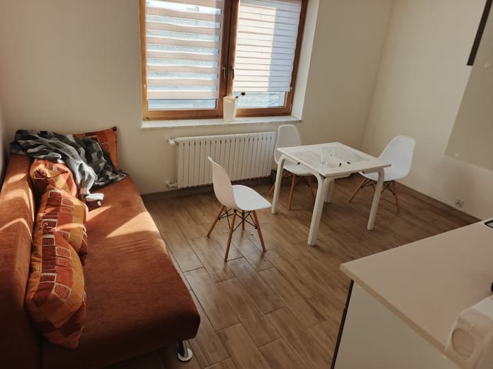 Cozy Apartment - Polen